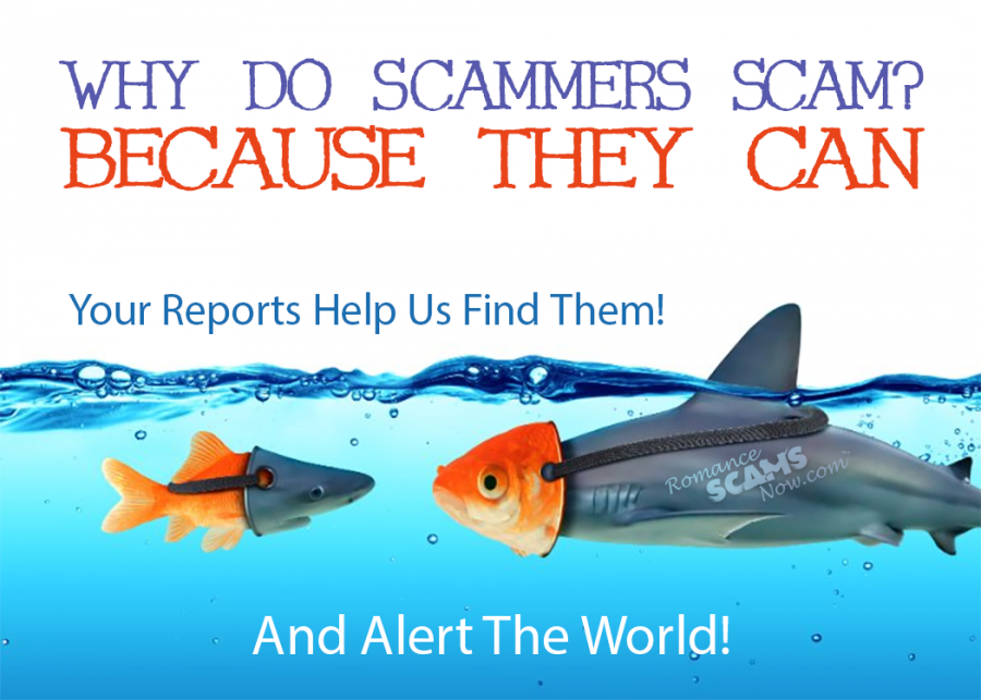 Portfolio: Reporting Scammers Posters