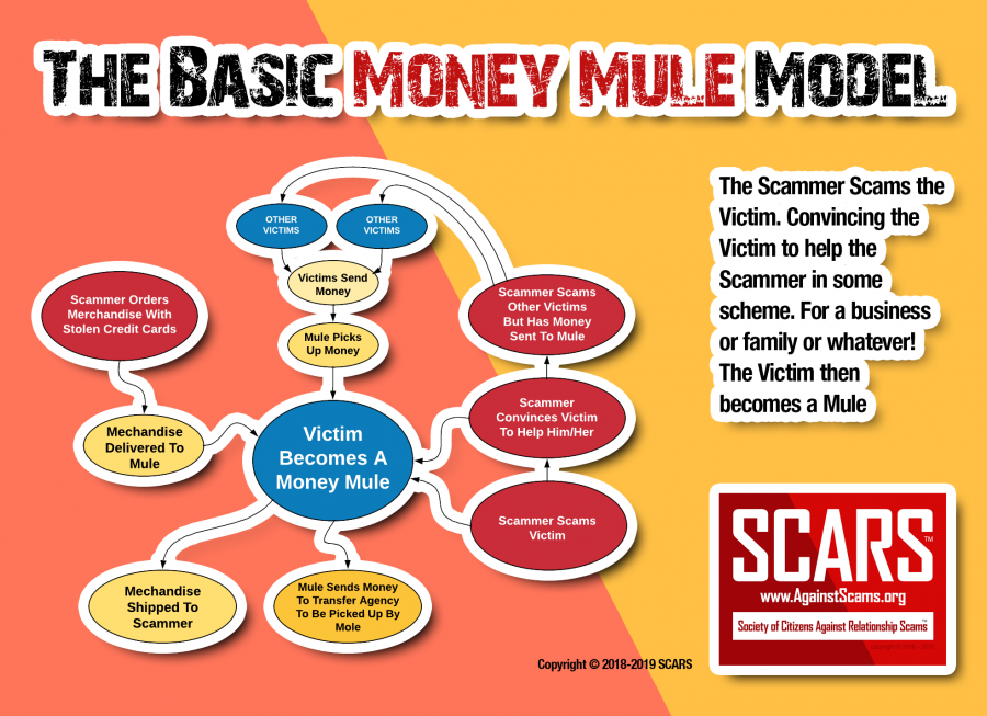 RSN™ Special Report: The Basic Money Mule Model!