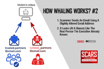 SCARS™ Guide: There Is A New Kind Of Phishing Called Whaling Scam Attacks